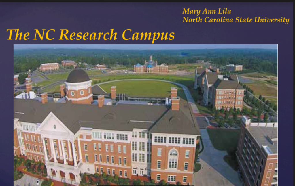 North Carolina State University Presentation - Shea Market