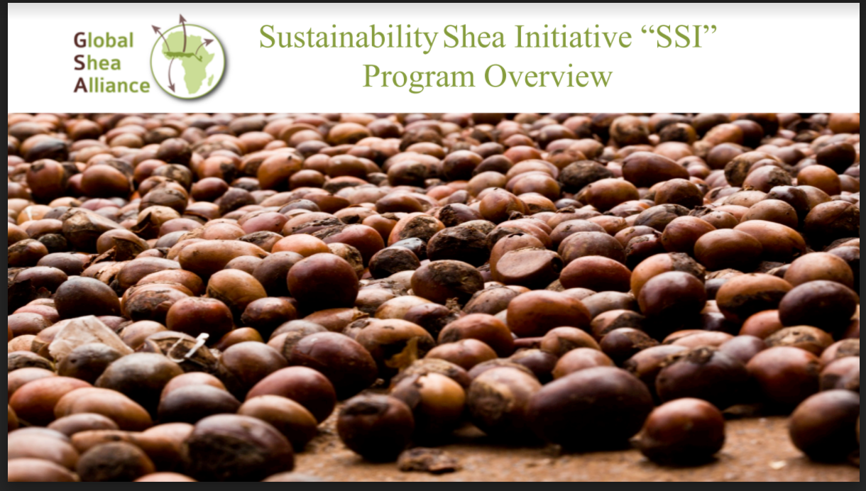 Sustainability Shea Initiative, Program Overview - Shea Market