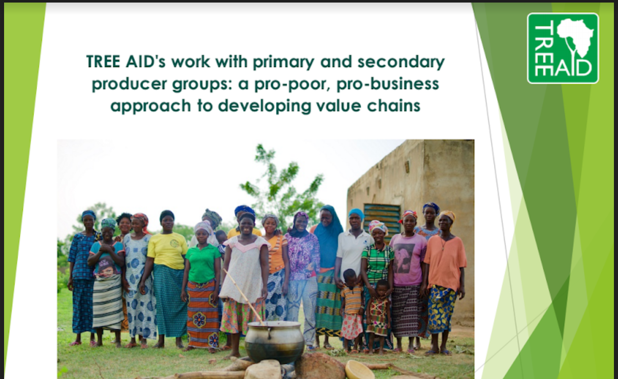 Pro-Poor and Pro-Business Approach to Developing Value Chains: A Case ...