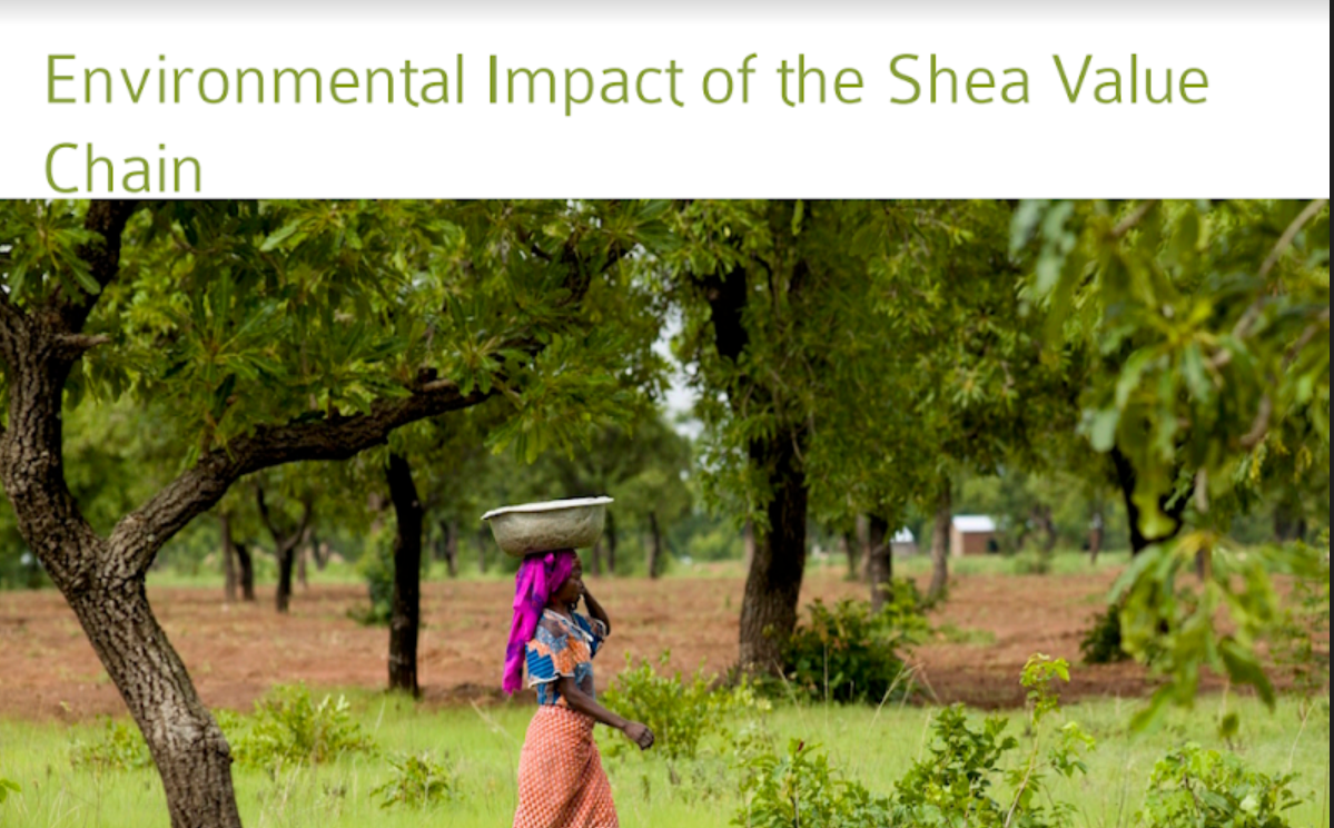 Environmental Impact of the Shea Value Chain - Shea Market