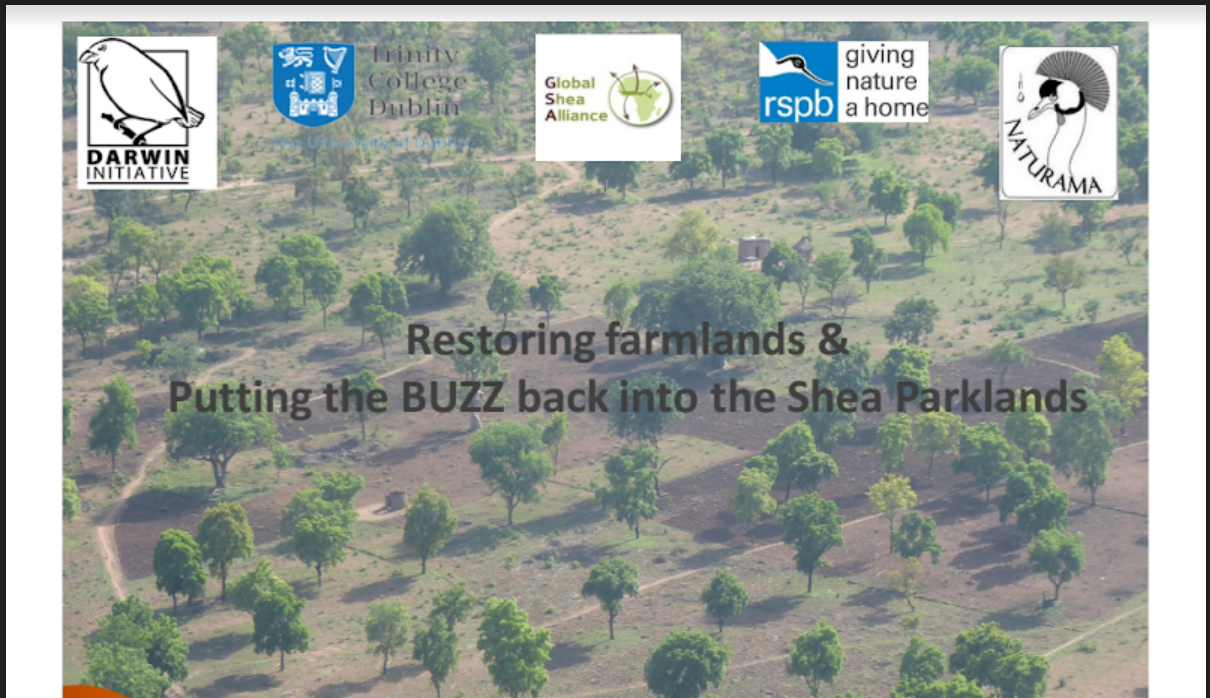 Restoring Farmlands and Putting the BUZZ back into the Shea Parklands ...