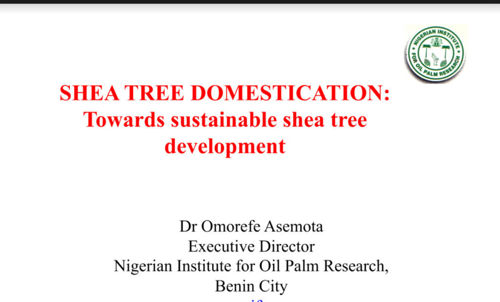 Shea Trees domestication: Towards Sustainable Shea Trees Development ...
