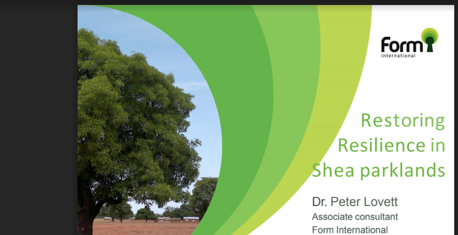 Restoring Resilience in Shea Parklands - Shea Market