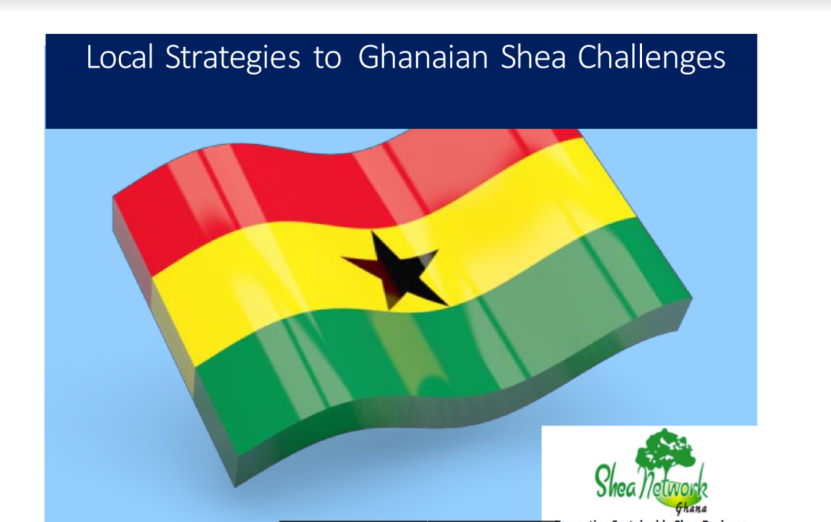 SNG National Strategy - Shea Market