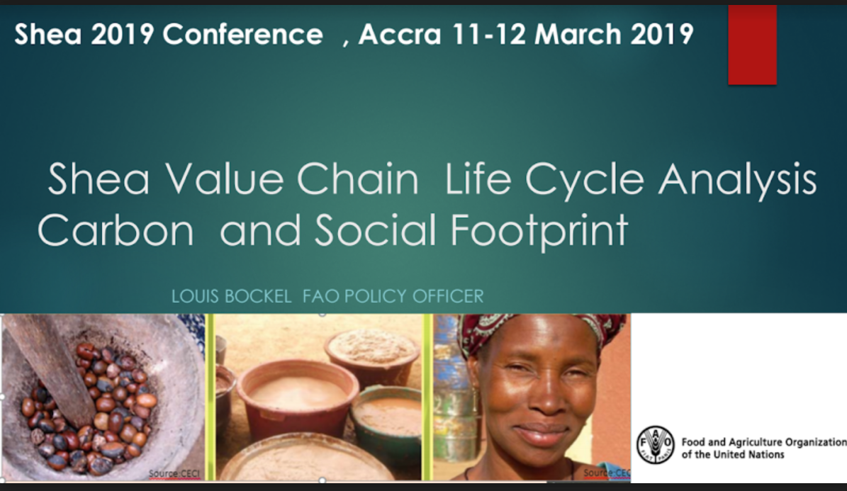 Shea Value Chain, Life cycle Analysis and Social Footprints - Shea Market