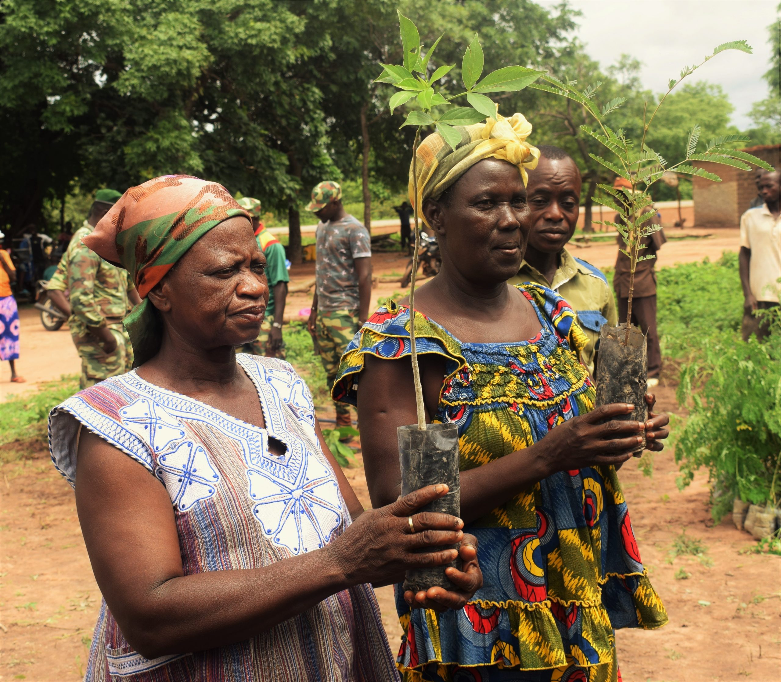 FairClimateFund - Shea Market