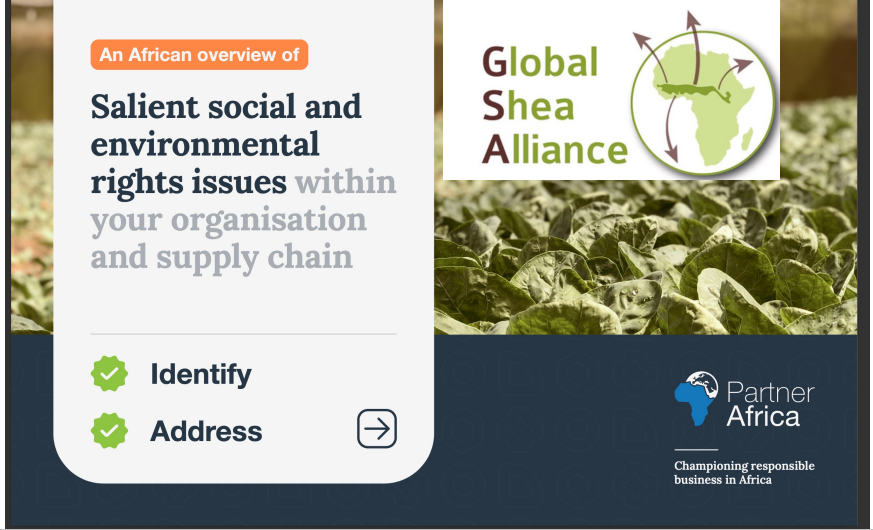 Adopting a Human Rights Due Diligence Approach to Identifying and ...