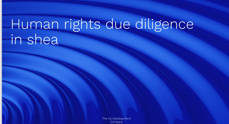 Human Rights Risk Assessment: The Specificity of Shea - Shea Market