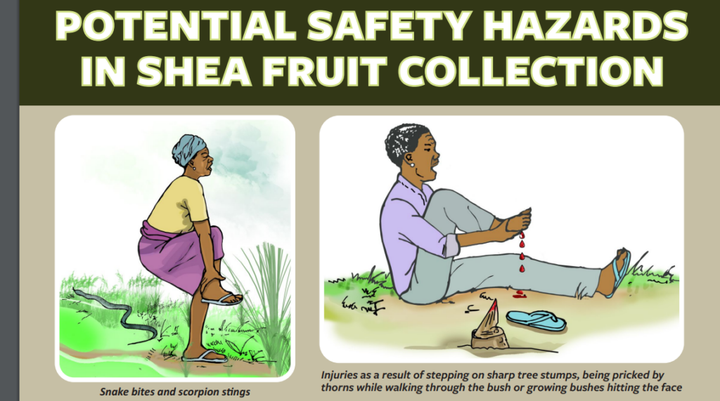 Health and Safety Posters - Shea Market