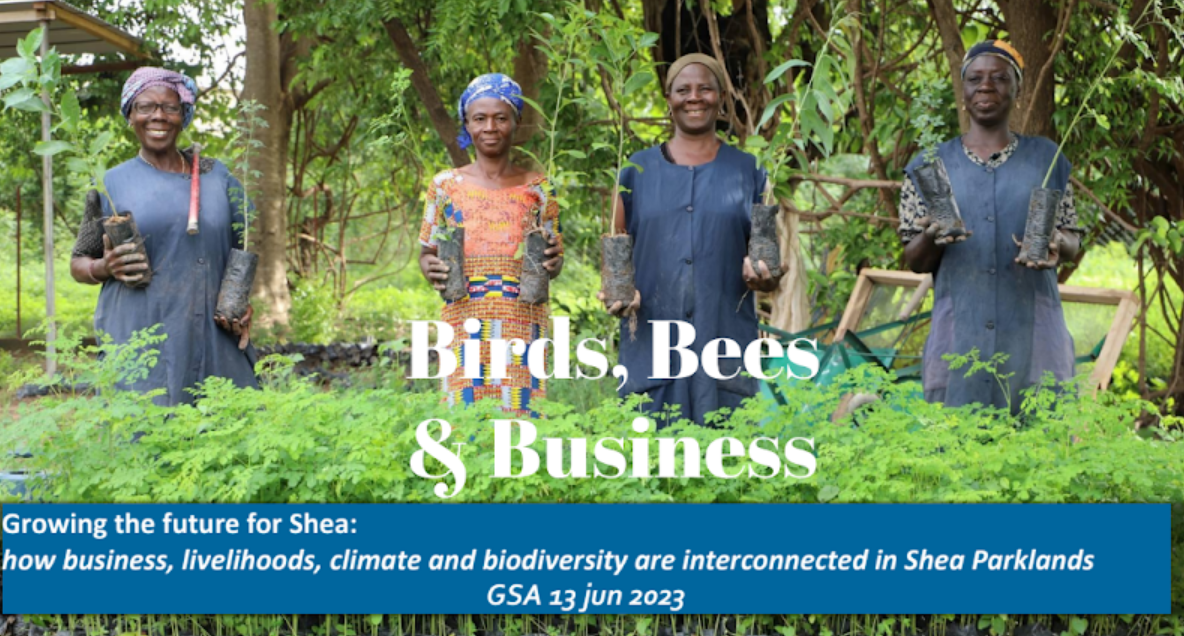 Growing the Future for Shea: How Business, Livelihoods, Climate and ...