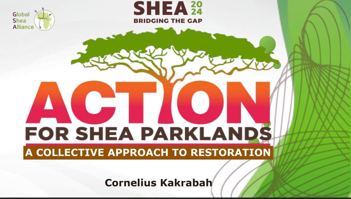 Action for Shea Parklands A Collective Approach to Restoration - Shea ...